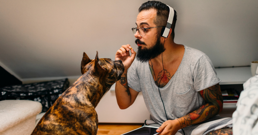 People who talk to their pets like humans usually exhibit these 7 ...