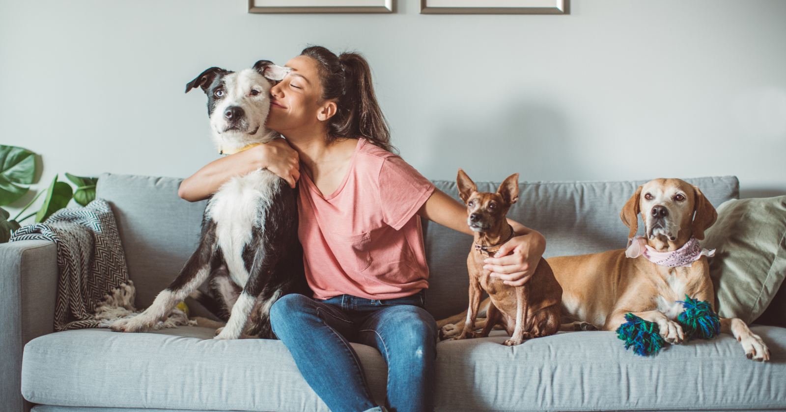 Young people who are choosing to have pets over children usually ...